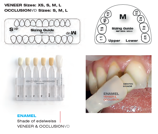 Edelweiss Direct System VENEER Starter Kit - City Dental Supplies